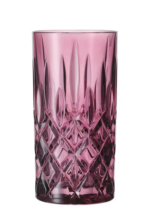 NACHTMANN Noblesse Set Of 2 Long Drink Highball Glasses - Berry