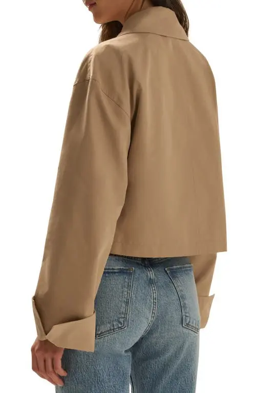 FAVORITE DAUGHTER The Rue Cropped Trench