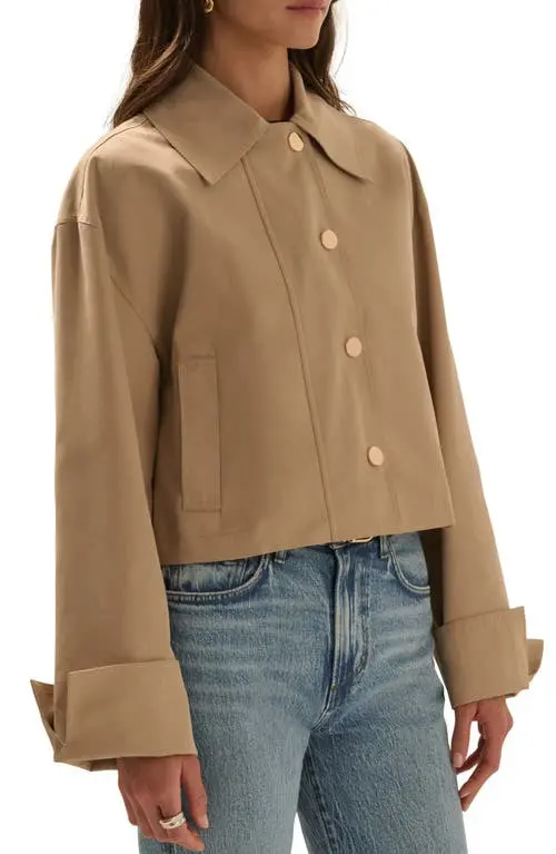 FAVORITE DAUGHTER The Rue Cropped Trench