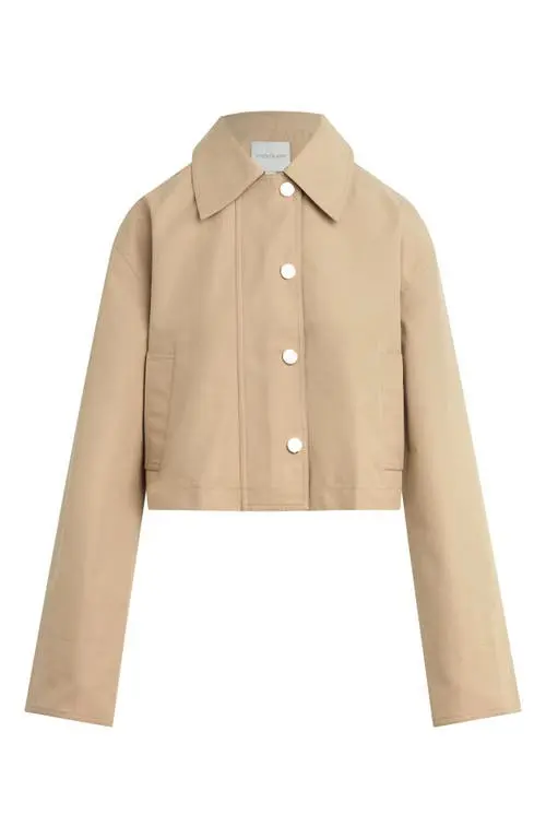FAVORITE DAUGHTER The Rue Cropped Trench