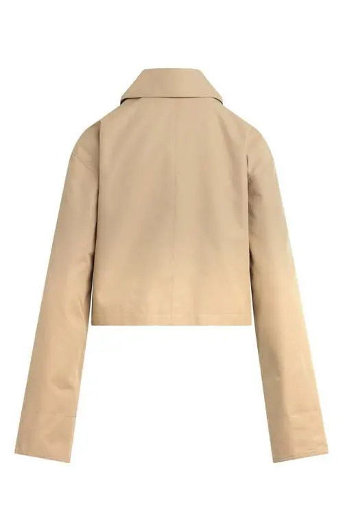 FAVORITE DAUGHTER The Rue Cropped Trench