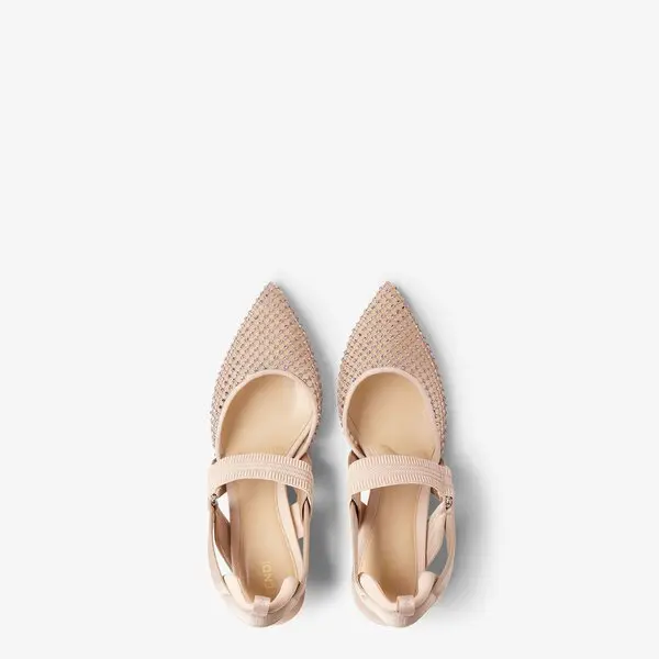 Fendi Colibrì Slingbacks With Micro-crystals