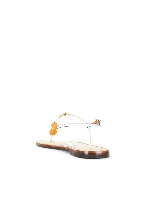 AMANU The Nairobi Sandal