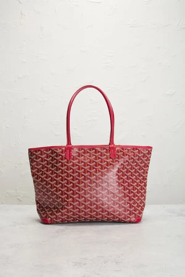 Goyard Saint Louis Pm Tote Bag