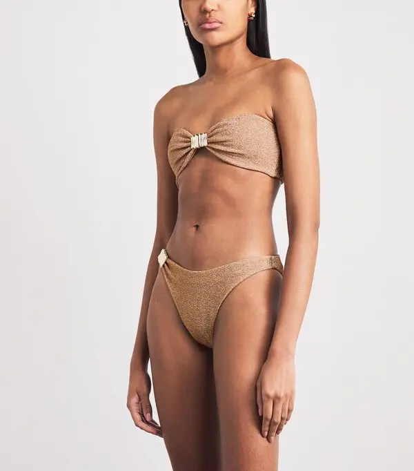 Devon Windsor Glitter Helen Bikini Briefs