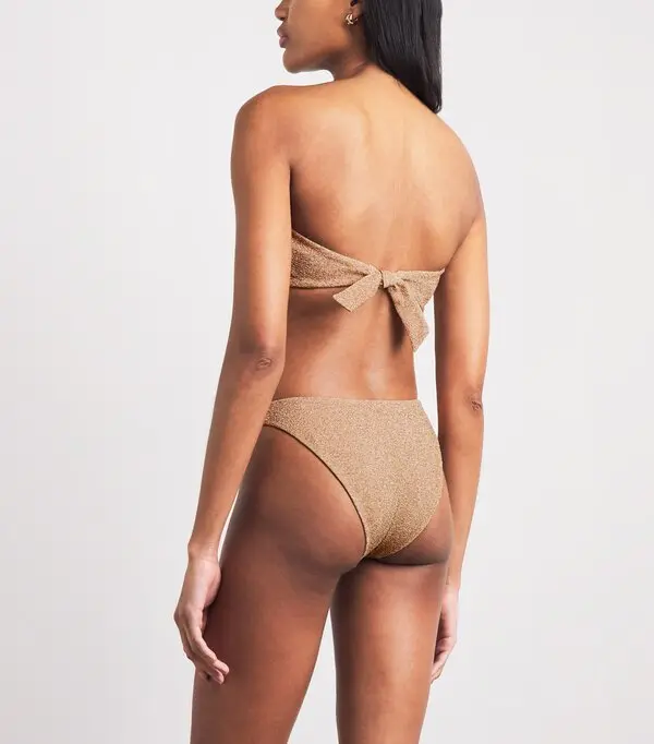 Devon Windsor Glitter Helen Bikini Briefs