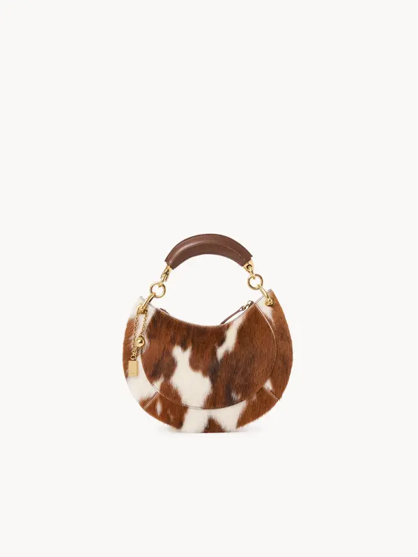 Chloé Satchel Bag