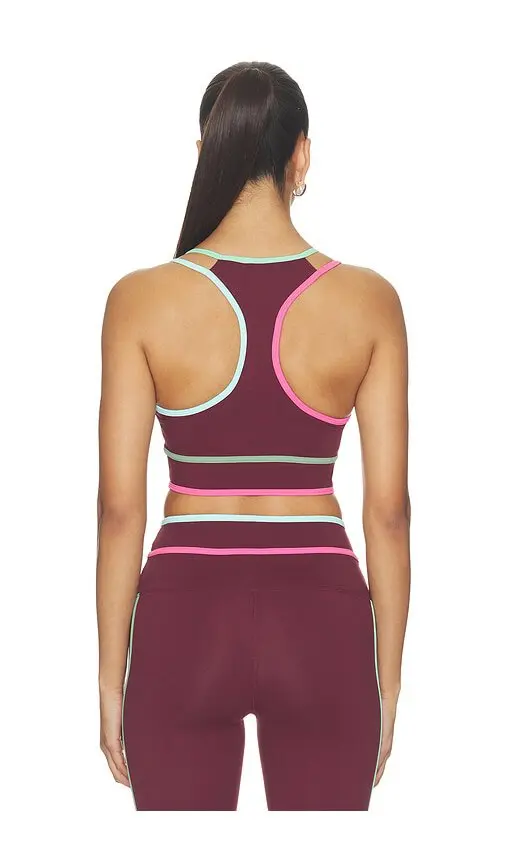 Beach Riot Anari Sports Bra In Wine