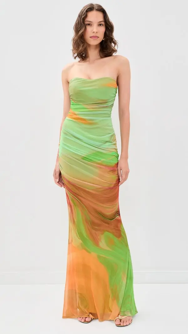 Retrofete Isadore Mesh Maxi Dress