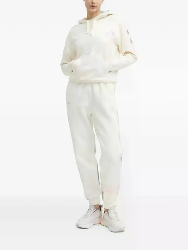 The North Face Plastic Free Peaks Hoodie