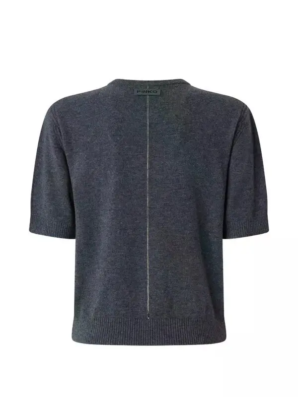 Pinko Short-sleeve V-neck Sweater