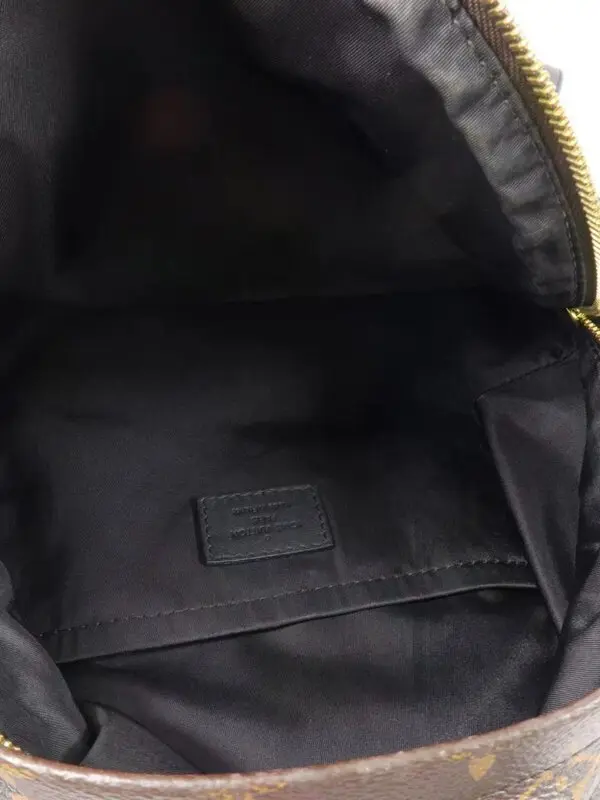 LOUIS VUITTON Pm Palm Springs Monogram-pattern Backpack