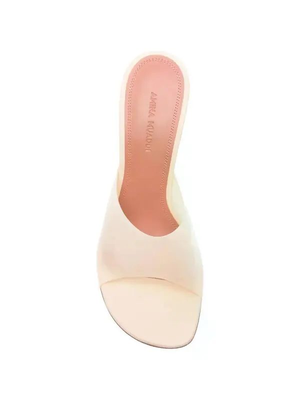 Amina Muaddi Taylor Transparent Mules