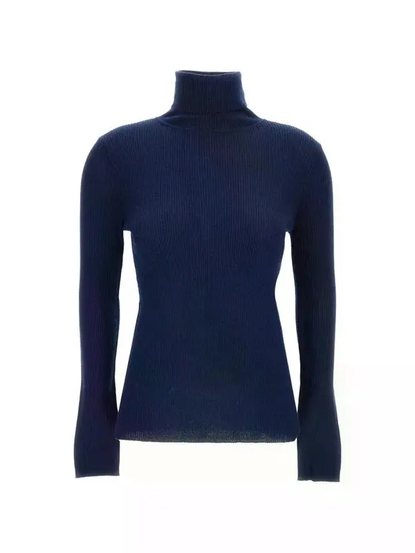 IRIE' Ribbed-knit Roll-neck Sweater