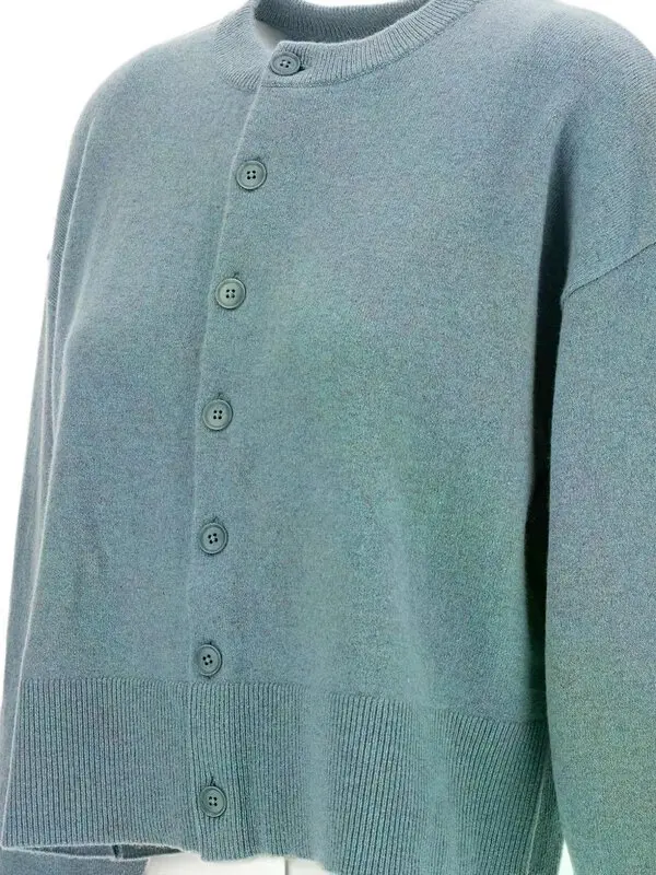 Extreme Cashmere Crew-neck Button-up Cardigan