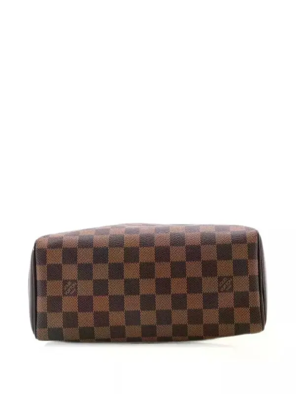 LOUIS VUITTON Brera Handbag Damier Satchel
