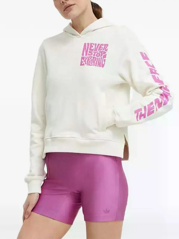 The North Face Sleeve Print Hoodie - Neutrals