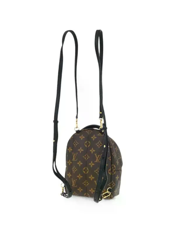 LOUIS VUITTON 2019 Mini Palm Springs Backpack