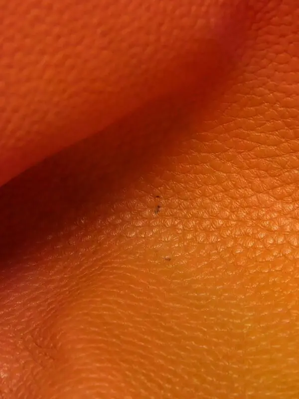 Hermès 2011 Clemence Double Sens 36 Tote Bag