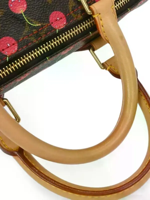 LOUIS VUITTON Monogram Cherry Speedy Tote Bag
