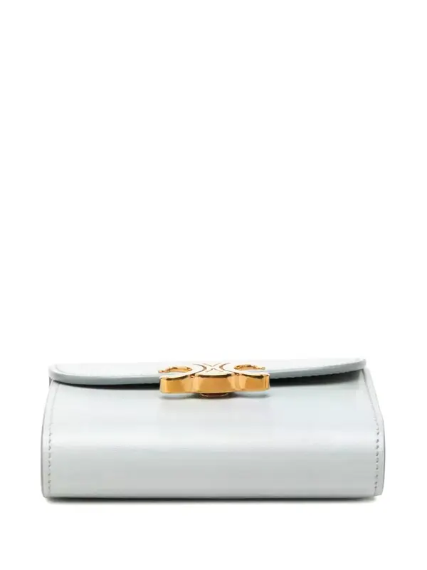 Celine 2023 Shiny Calfskin Triomphe Flap Wallet Small Wallets