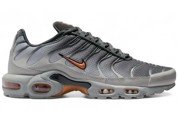 Nike Air Max Plus Light Smoke Grey Hot Curry - Multicolor