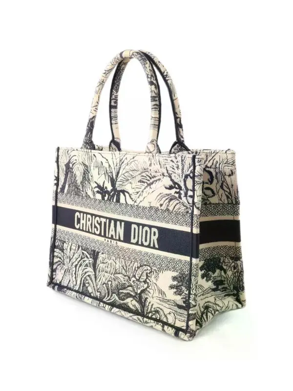 Dior Book Tote Tote Bag
