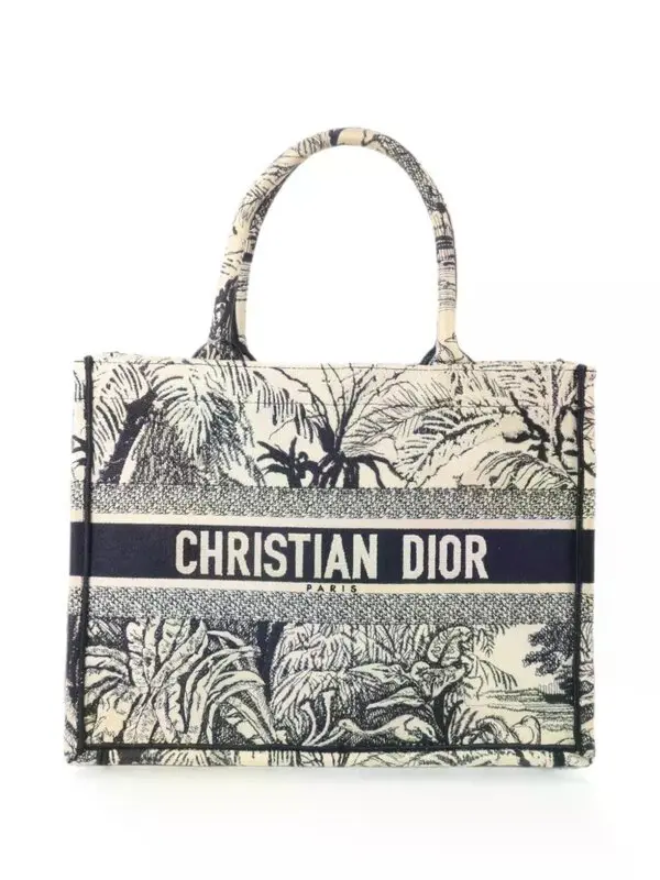 Dior Book Tote Bag - Neutrals