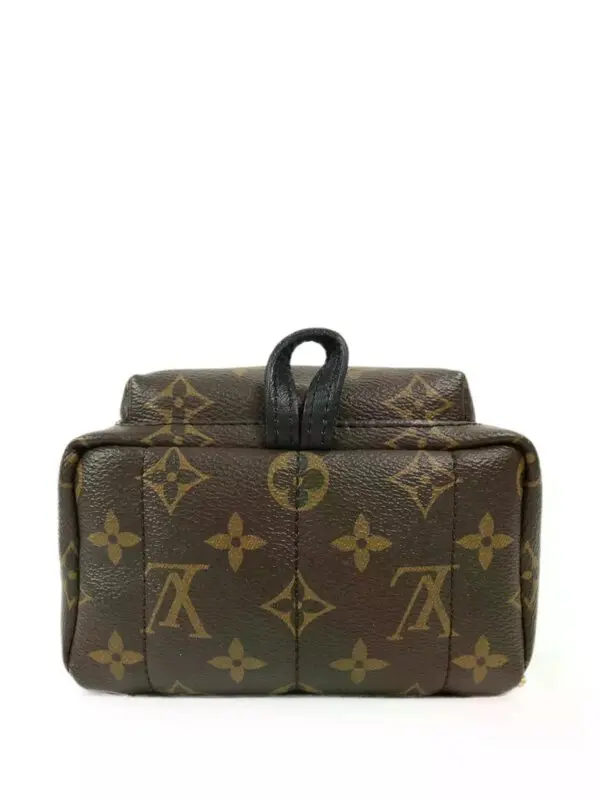 LOUIS VUITTON Palm Springs Mini Monogram Backpack