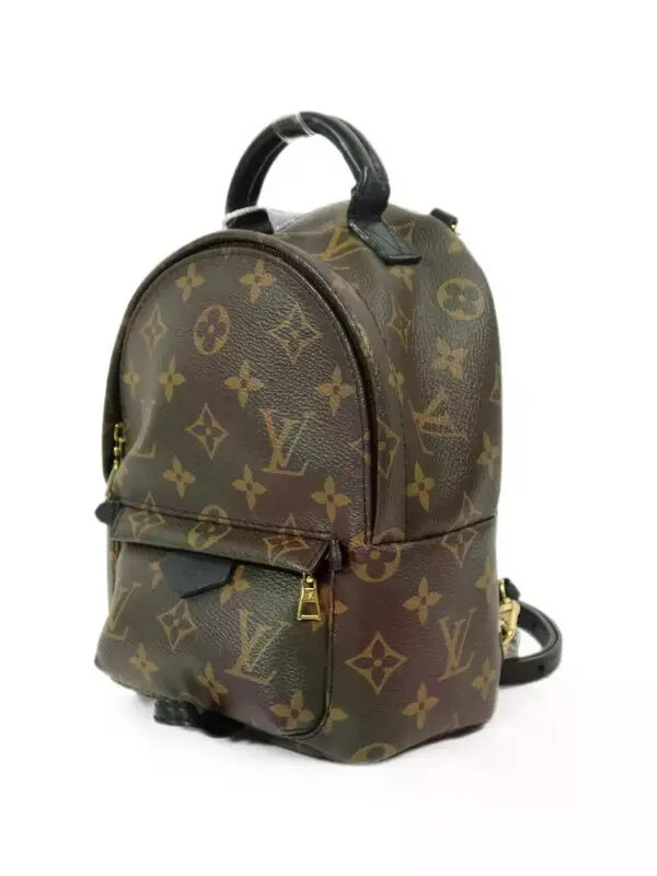 LOUIS VUITTON Palm Springs Mini Monogram Backpack
