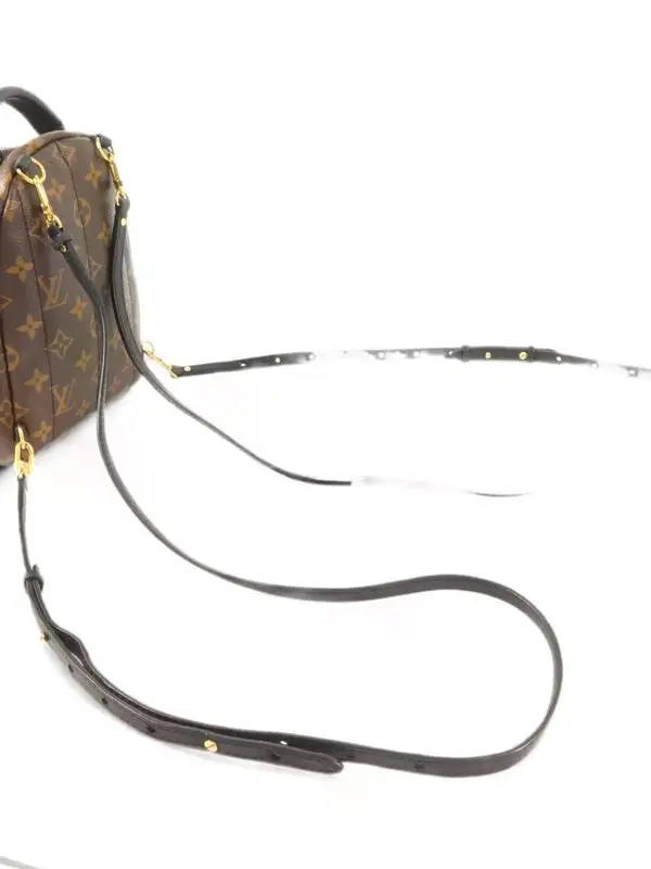 LOUIS VUITTON Palm Springs Mini Backpack