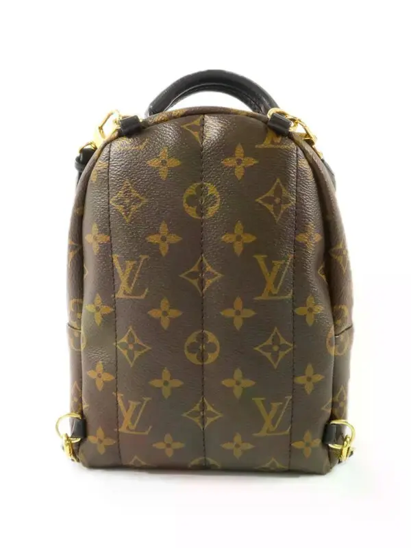 LOUIS VUITTON Palm Springs Mini Backpack - Brown