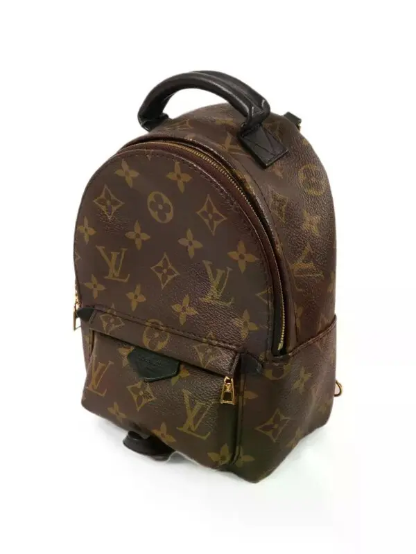 LOUIS VUITTON Mini Palm Springs Backpack