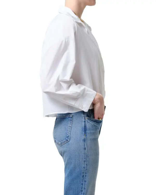 Citizens Of Humanity Petit Ami Shirt