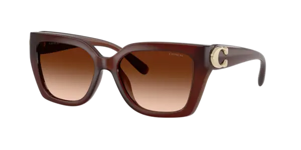 COACH Cat Eye Sunglasses - Berry Gradient
