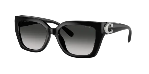 COACH Sunglass Cw195 - Grey Gradient