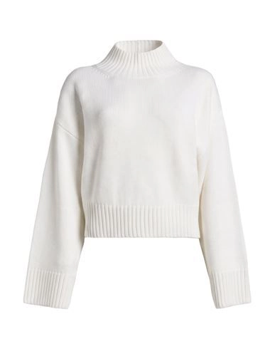 Fabiana Filippi Virgin Wool Turtleneck Sweater