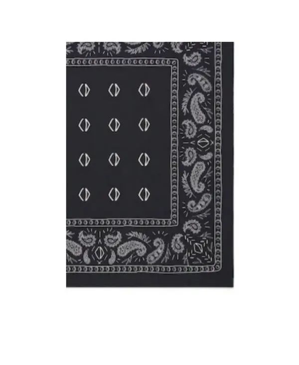 Dior Printed Bandana