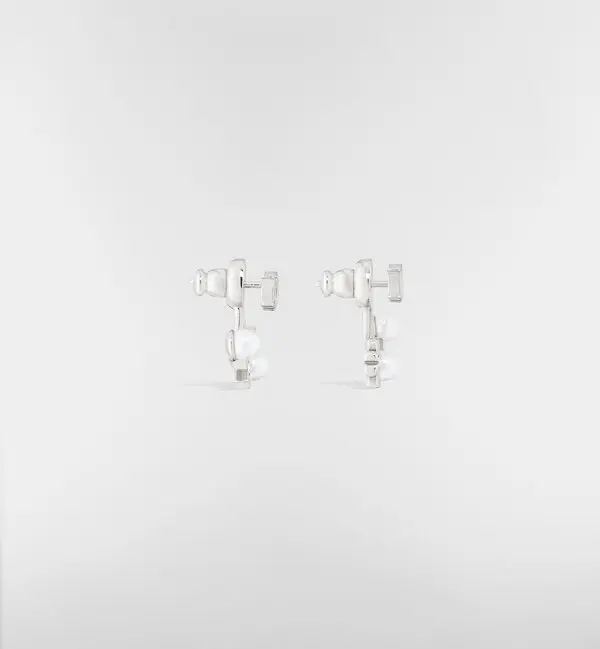 Dior Dioevolution Earrings