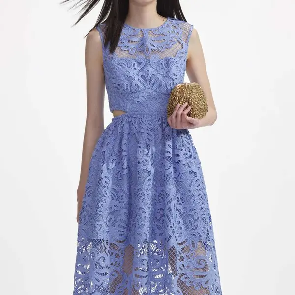 SELF-PORTRAIT Lace Cut-out Detailed Midi Dress - Blue
