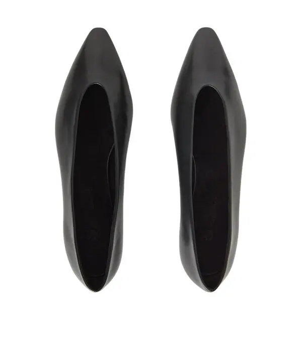 Loro Piana Rebecca Pointed-toe Ballerina Flats - Black