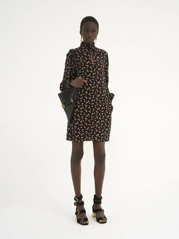 Chloé Long-sleeved Mini Dress