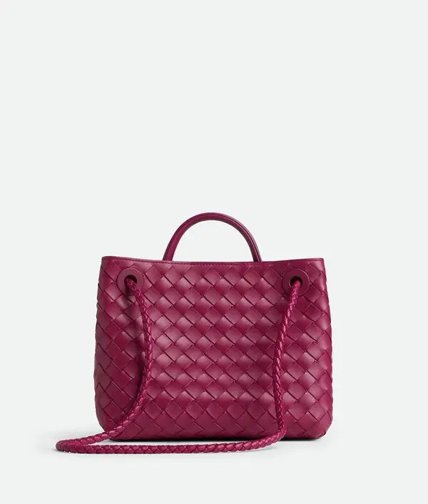 Bottega Veneta Andiamo Small Tote Bag