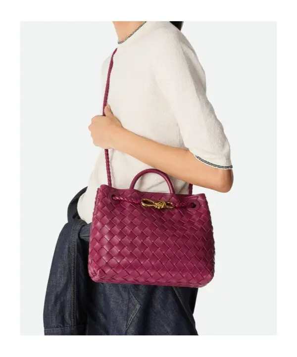 Bottega Veneta Andiamo Small Tote Bag