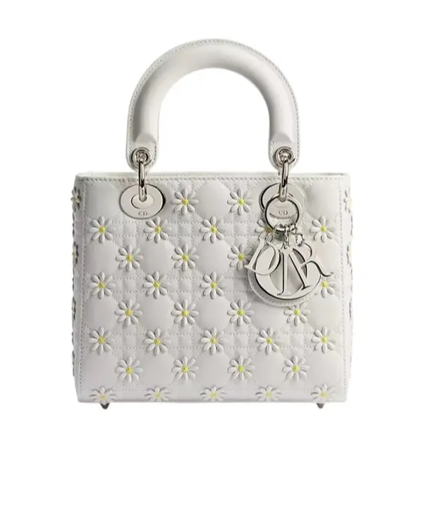 Dior Small Lady Bag With Strap