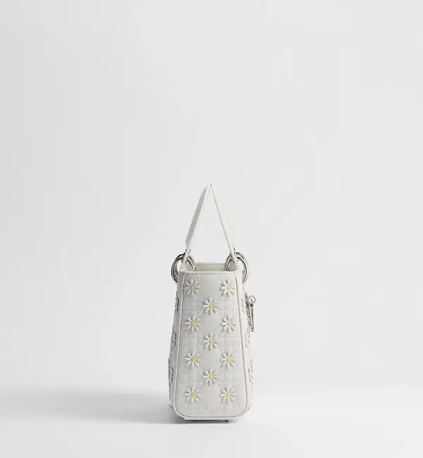 Dior Small Lady Bag With Strap