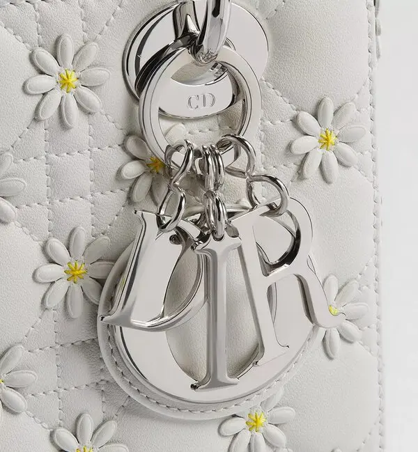 Dior Small Lady Bag With Strap