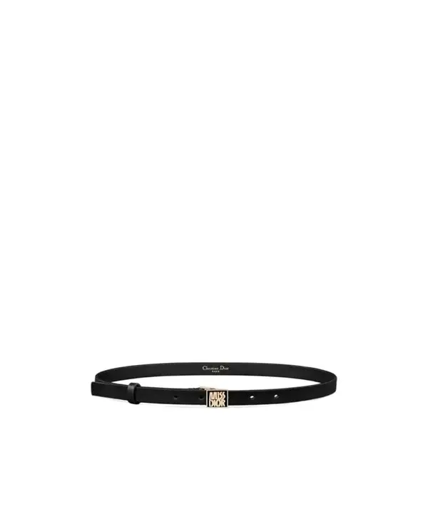 Dior Logo Belt