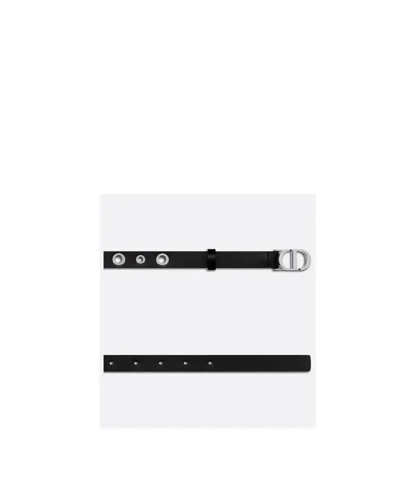 Dior 30 Montaigne Belt