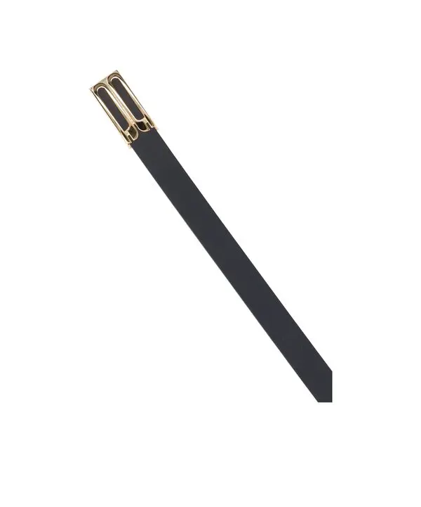 Victoria Beckham Jumbo Frame Belt